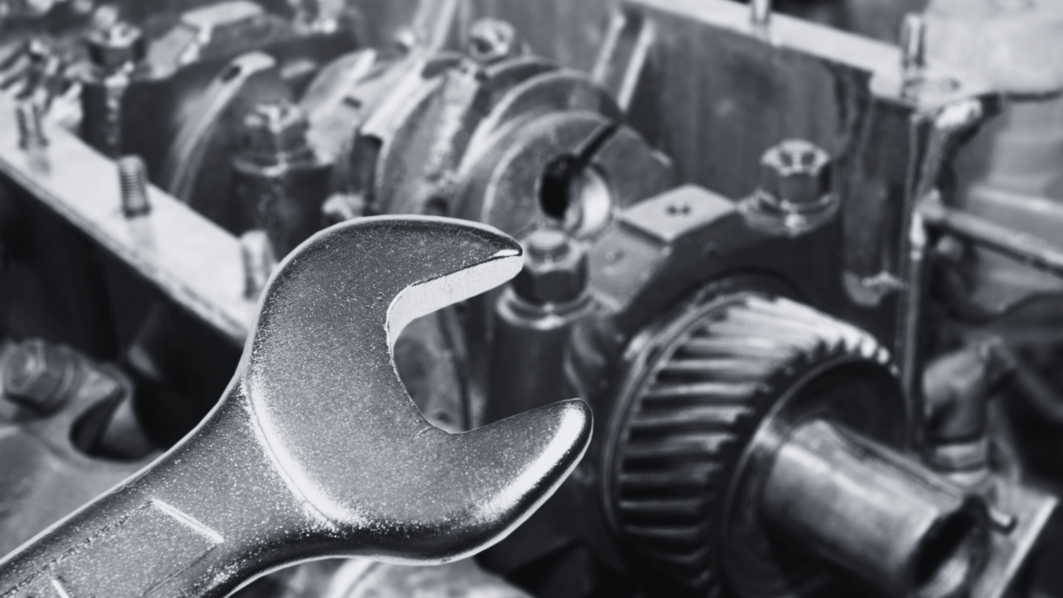 Authorized Niigata Engine Spare Parts Suppliers (Genuine Parts) | Neptunus Authorized Niigata Engine Spare Parts Suppliers (Genuine Parts) | Neptunus